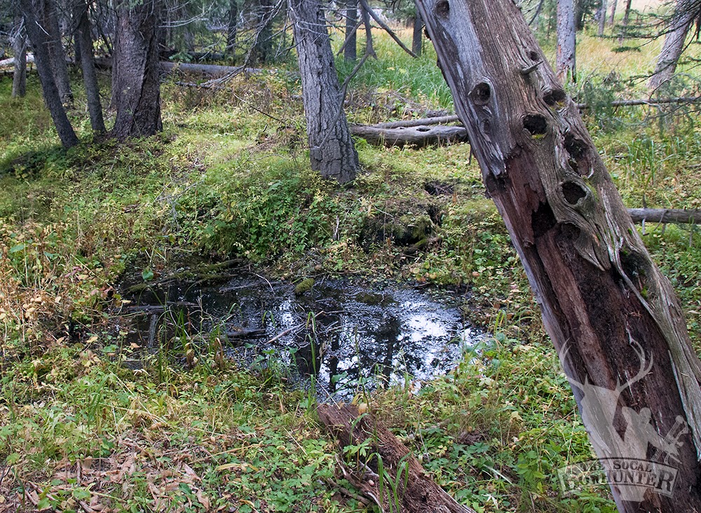 Colorado Elk Hunt Day 2: Mountain vs. Man - The Faithful Sportsman