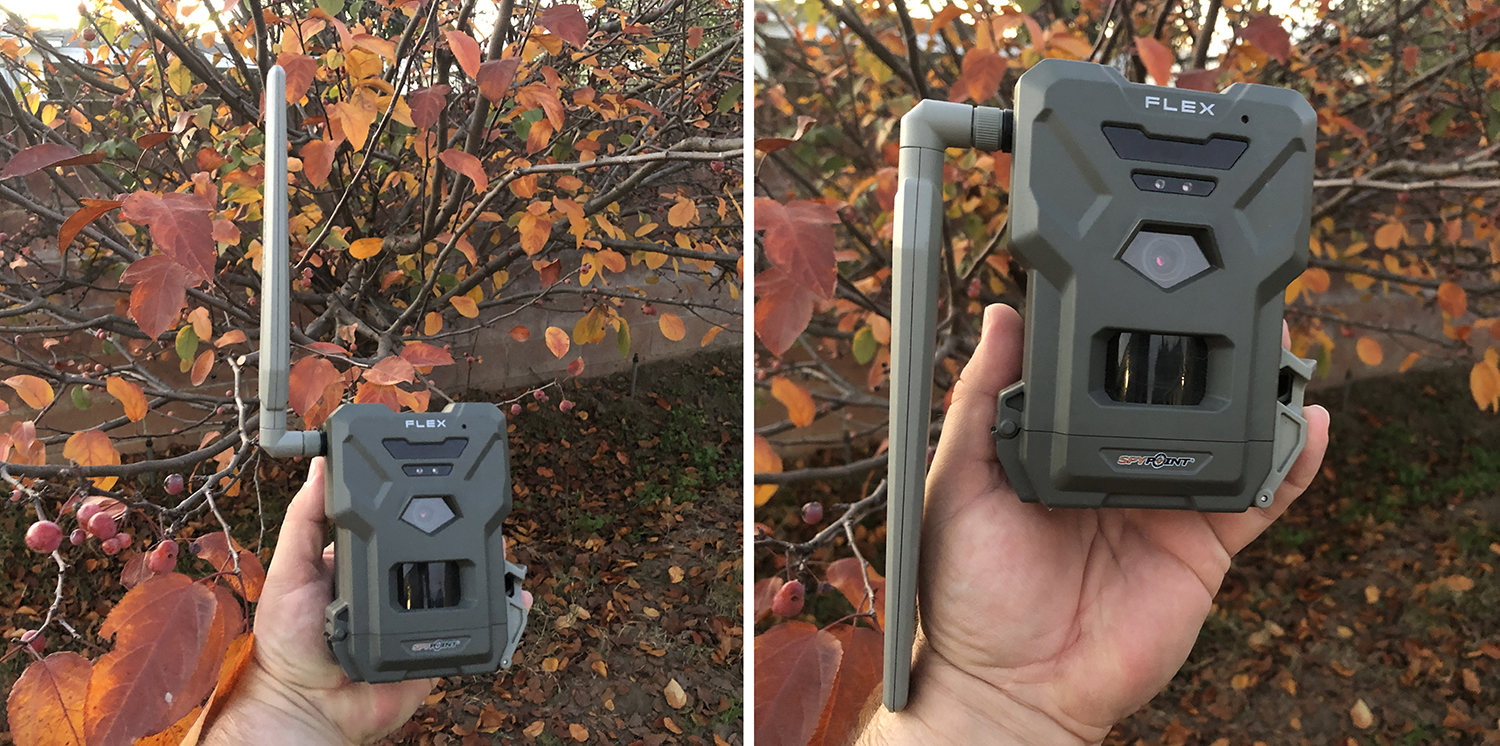 SPYPOINT FLEX Cellular Camera – Field Test Results and Full Gear Review ...