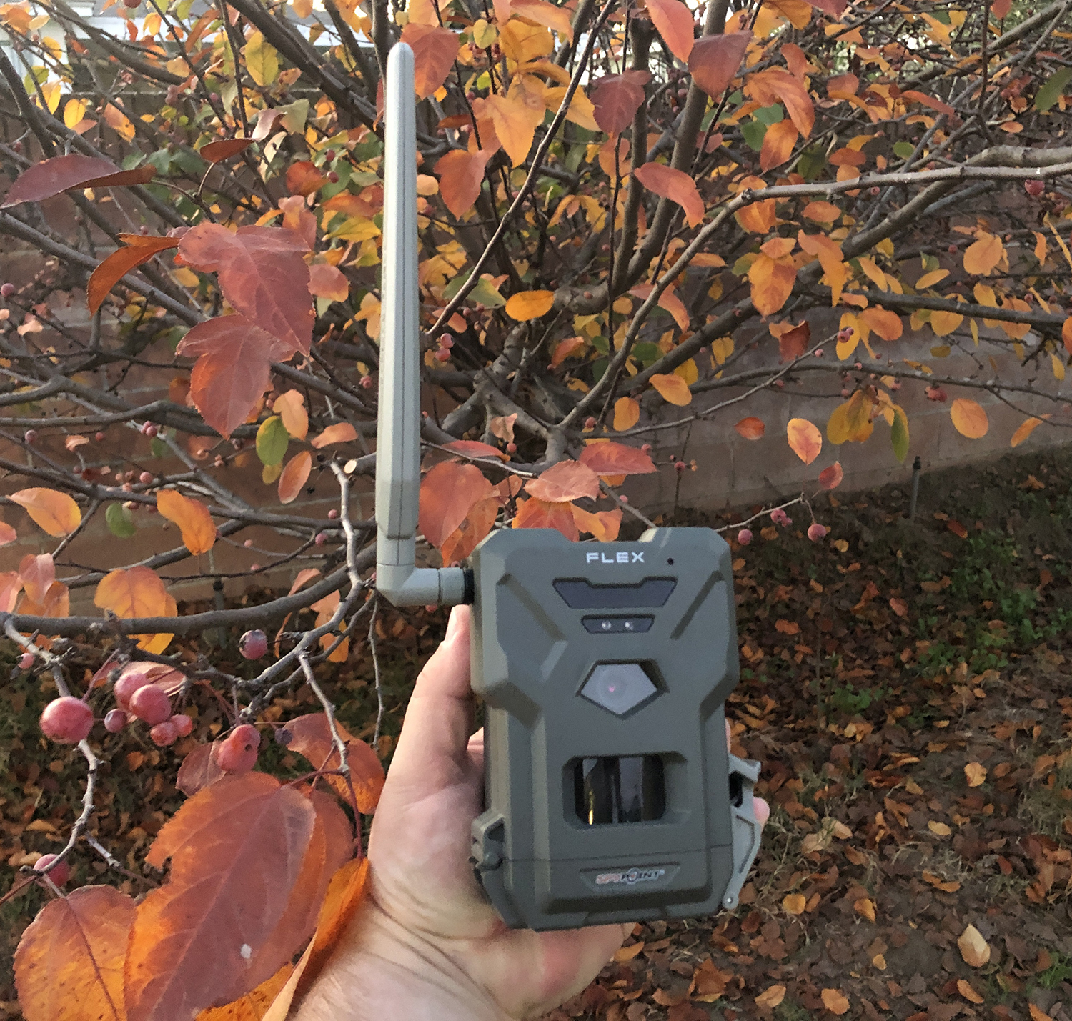 SPYPOINT FLEX Cellular Camera – Field Test Results and Full Gear Review ...